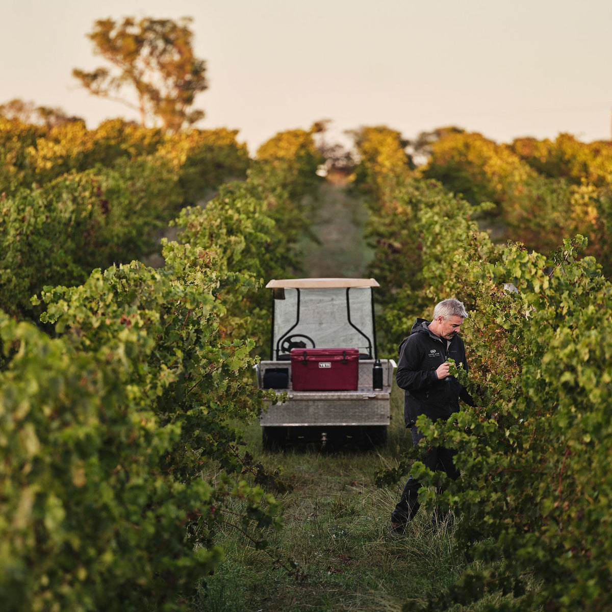 Wildberry Estate | Premium Margaret River Cabernet & Chardonnay Wines ...